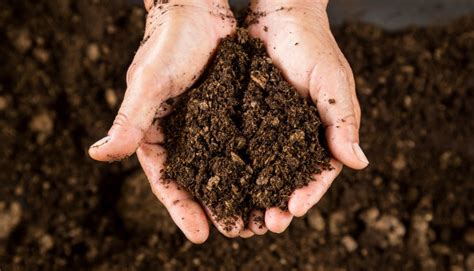 Composto Orgânico Fertipell Fertilizantes Orgânicos