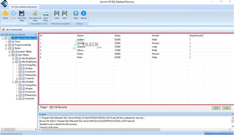 Sysinfotools Ms Sql Database Recovery 220 Filecr