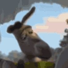 Shrek Burro S Tenor