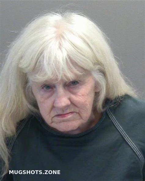 Van Norstran Donna Gean 01 23 2025 Montgomery County Mugshots Zone