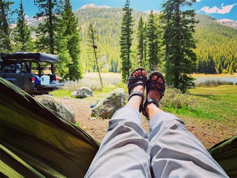 Lorene Nardell Msotr L • Ot Potential