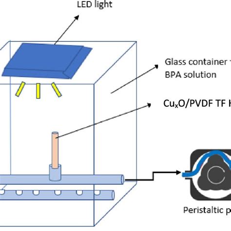 Schematic Diagram Of Photocatalytic Reactor And Water Flux Performance Download Scientific