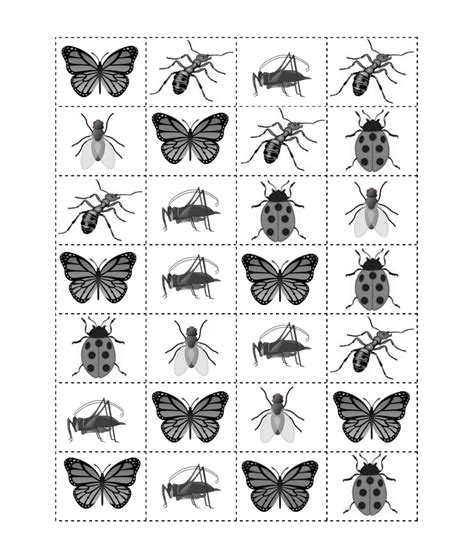 Represent And Interpret Data Common Core Math Activities