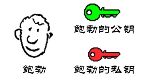 X509数字证书的结构与解析x509证书格式解析 Csdn博客
