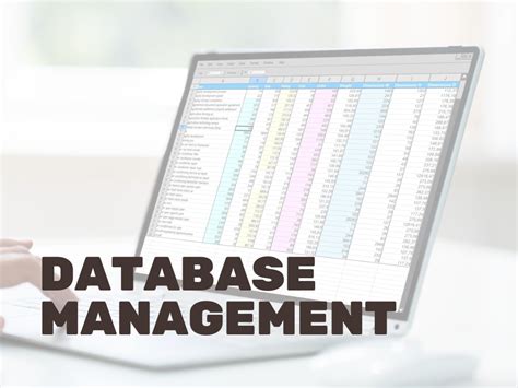 Organized Excel Spreadsheets Or A Custom Dynamic Dashboard Upwork