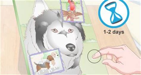 Easy Ways To Hang A Canvas Painting WikiHow