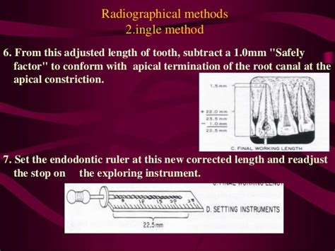 Working Length Estimation In Endodontic