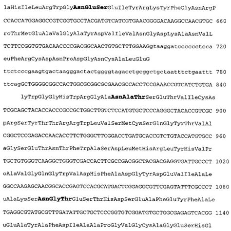 Complete Nucleotide Sequence And The Deduced Amino Acid Sequence Of The