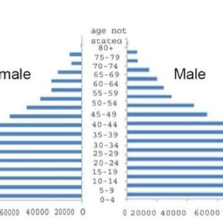 Ae Sex Pyramid Source Census Of India Download Scientific Diagram