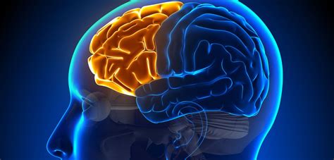 Constraints Working Memory And Span Of Control Setemheb