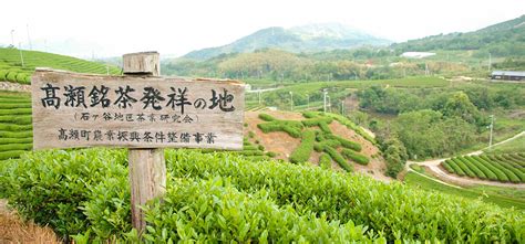 水出しのお茶をおいしく、健康に｜百年の歴史を持つ今屋老舗