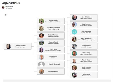 Org Chart Plus Free Bamboo Solutions