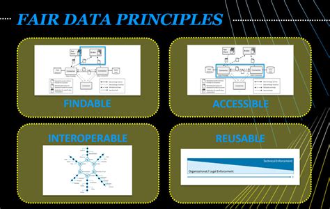 Ids And The Fair Data Principles International Data Spaces
