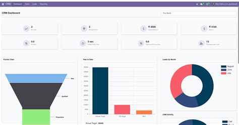 Detailed Overview Of The Odoo 16 Crm Dashboard