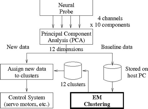 Figure 1 From Enabling A Real Time Solution For Neuron Detection With