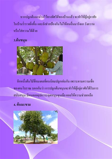 ต้นไม้ Yayaa332266 Page 3 Flip Pdf Online Pubhtml5