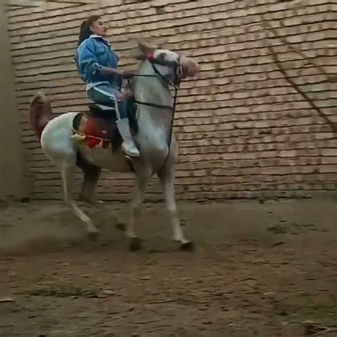 دختر سوارکار با اسب کرد Youtube