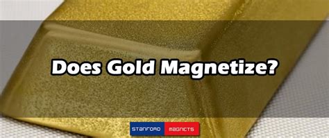 Does Gold Magnetize Stanford Magnets