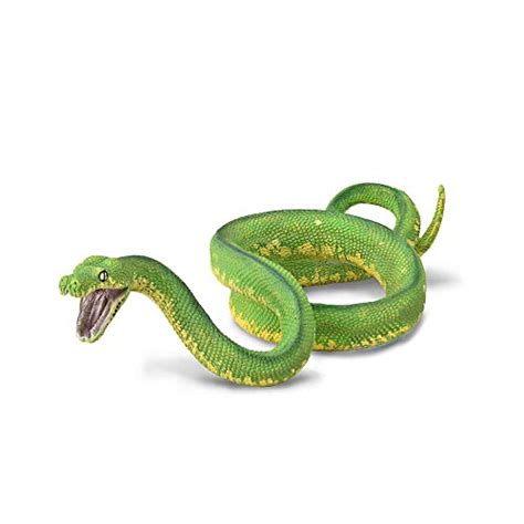 Biak Green Tree Python Physical Characteristics Habitat And Care