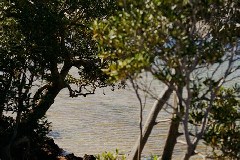 Contact Us — Winyama