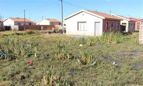 South Africa Stories Breaking News And Comment The Citizen