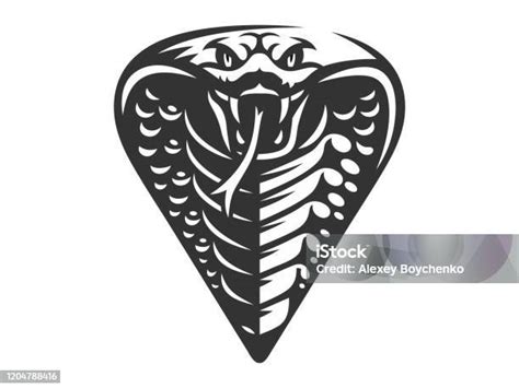 뱀 킹 코브라 일러스트 인쇄 흰색 배경에 엠블럼 디자인의 벡터 머리 코브라에 대한 스톡 벡터 아트 및 기타 이미지 코브라 머리 뱀 Istock