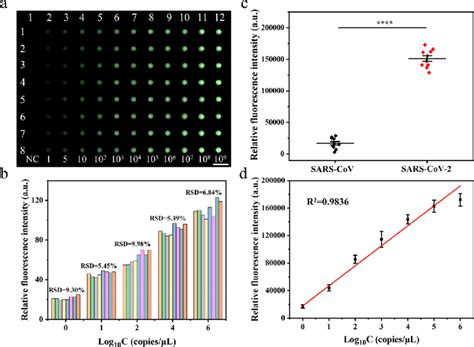 High Throughput And Ultrasensitive Detection Of Sars Cov 2 A Download Scientific Diagram