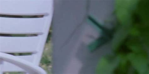 Programmed For Pleasure Tnaflix Com