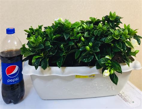 Цэцэгчин ээжүүд Цэцэгчин ээжүүд Added A New Photo