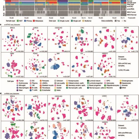SnATAC Seq And Sc SnRNA Seq Data Overview A Overview Of The Cohort And Download Scientific