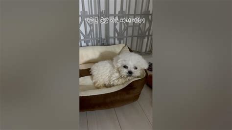 처음 본 순간 나는 빠져 버렸어💕 Youtube