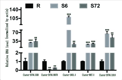 Expression Of Sex Related Unigenes Under N And P Stress Deviation Download Scientific