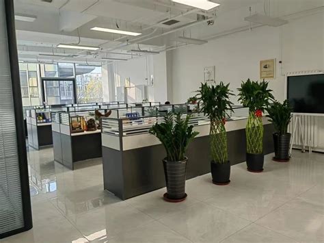 Hpe Proliant Dl G U Rack Server Computer New Hpe Dl Gen Buy Proliant Hpe Dl G