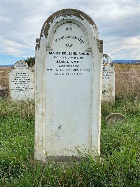 Mary Ann Jane Collins Jackson Amos Unknown 1872 Find A Grave Memorial