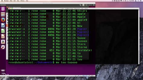 Managing Files And Folders In Linux Copying And Moving