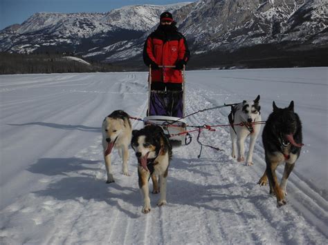 Tagish Wilderness Lodge Reviews Canada Yukon