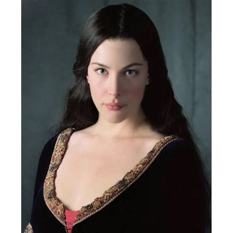 Arwen Costume The Lord Of The Rings Fancy Dress