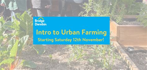 Weekend Intensive Intro To Urban Farming Urban Agriculture Month 2024