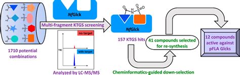 Shotgun Kinetic Target Guided Synthesis Approach Enables The Discovery