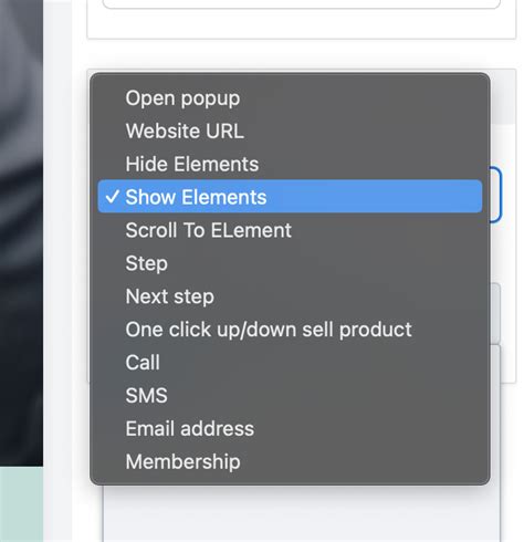 Hide And Show Elements On Button Click Funnels Websites Profit Lifter