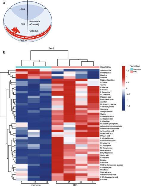 Unsupervised Clustering Analysis Of Samples A Simplified Schematic Download Scientific