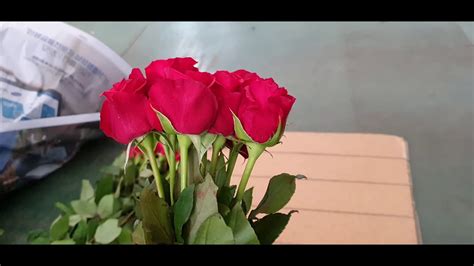 인터넷꽃도매시장 비탈장미 생화 생화택배 생화도매 장미대량구매 꽃 꽃종류 꽃다발 꽃도매 꽃시장 부산꽃시장 김해꽃시장 꽃쇼핑몰