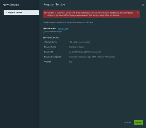 Creation Of Supervisor Service With Id Ca Ist Not Allowed
