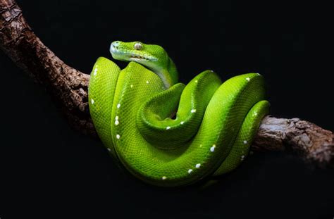 7 Best Python Libraries For Validating Data Yeah Hub