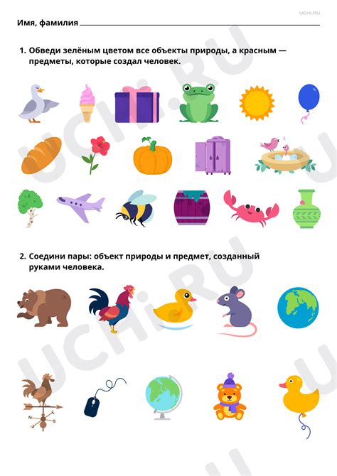 📒 Рабочий лист №3 по теме “Что такое окружающий мир Базовый уровень” для 1 класса Учи ру