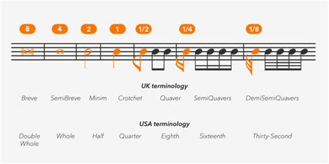 How To Quantize In Ableton Live A Step By Step Guide