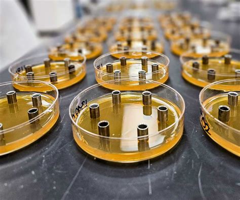 Antibiotic Potency Testing Usp Testing Method