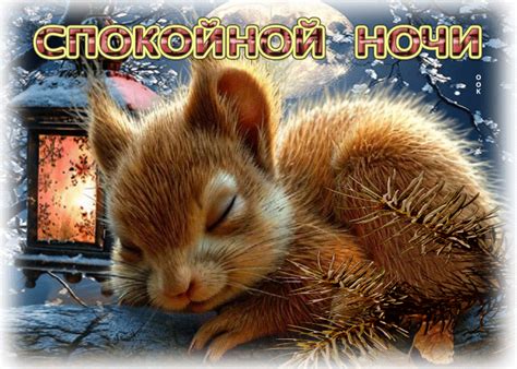 Ласковая открытка с белочкой Спокойной ночи Скачать бесплатно на