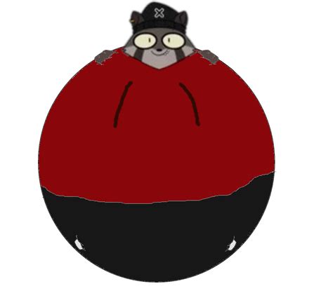 Rocky Rakoon Inflated By The Mmt On Deviantart