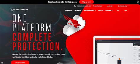 Best Endpoint Detection And Response For Paid Free